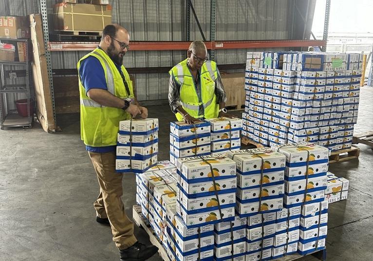 American Airlines sees mango volumes takeoff | News | Air Cargo News