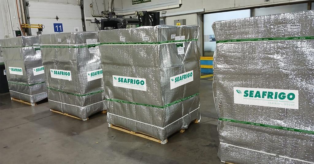 Seafrigo looks to capitalise on perishable demand with Chile expansion | News | Air Cargo News