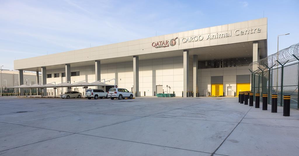 Qatar Cargo expands animal transport operation with world's largest ...